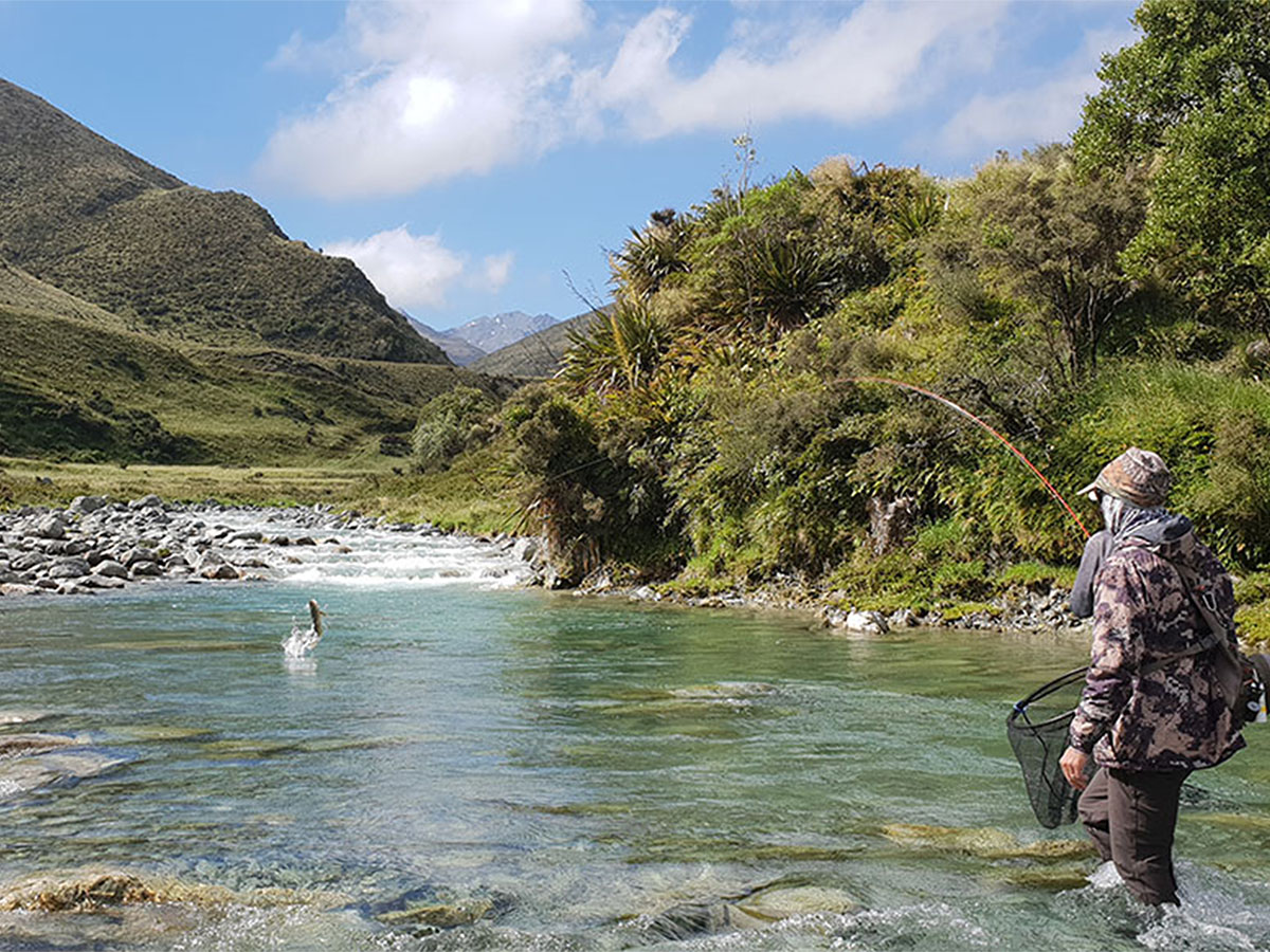 Fly Fishing New Zealand Guided Trout Fly fishing Trips Packages Holidays