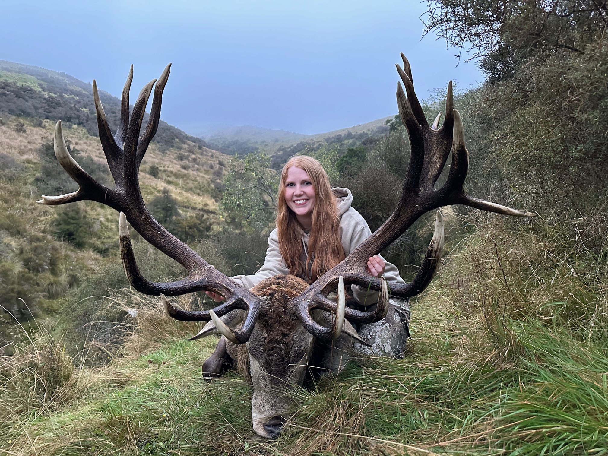 Red Stag Trophy Hunting New Zealand Exceptional Guides and Outfitters