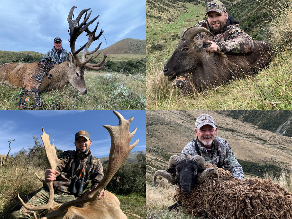 Red Stag Trophy Hunting New Zealand Exceptional Guides and Outfitters