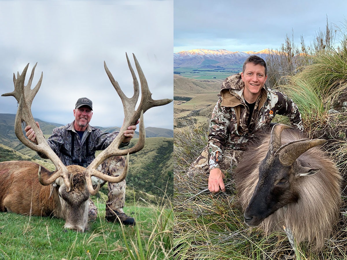 Red Stag Trophy Hunting New Zealand Exceptional Guides and Outfitters